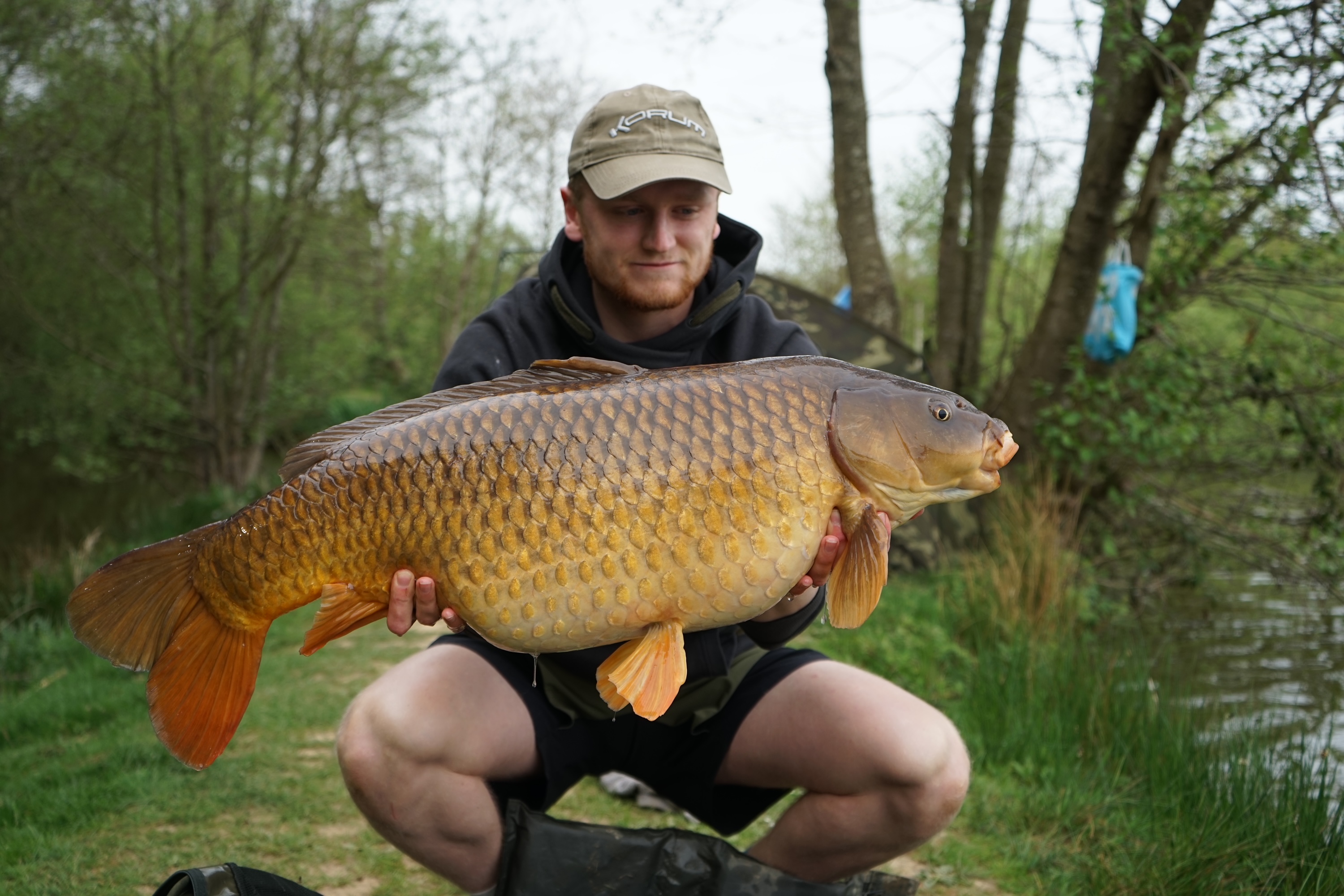 29lb 12oz Common from Frant Lakes | Total Carp